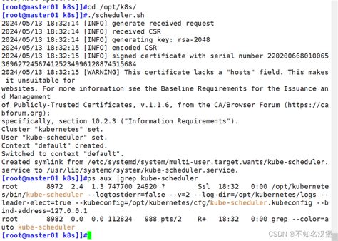 k8s：二进制安装k8s（单台master） cni网络配置与calico集成 csdn博客