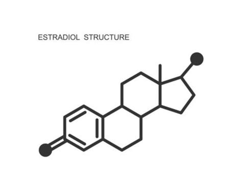 Endocannabinoid Vector Art Icons And Graphics For Free Download