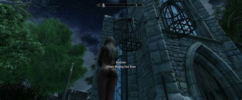 Zaz Animation Pack V8 0 Plus Page 132 Downloads Skyrim Adult Sex Mods LoversLab