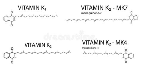 Chemical Structure Of Vitamin K1 And K2 Skeletal Formula Stock