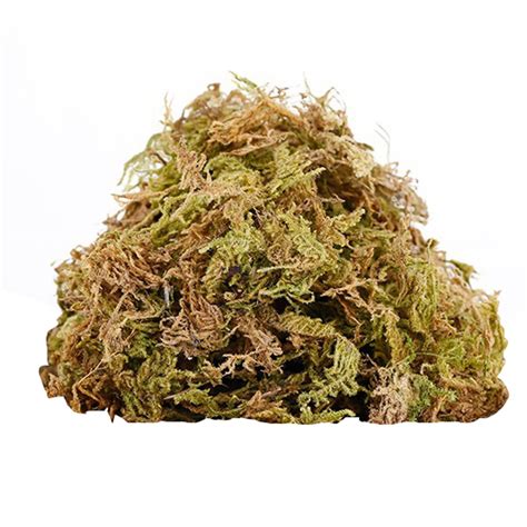 Bakdue Household Imitation Artificial Moss For Indoor Plants