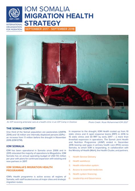 Iom Somalia Migration Health Strategy September 2017 September 2018