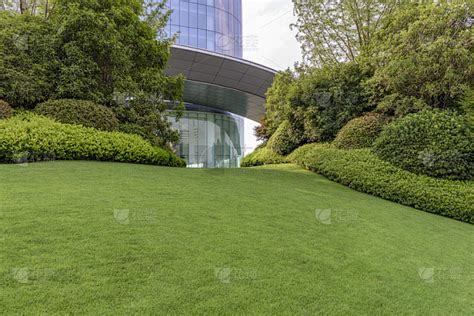 现代建筑与草坪