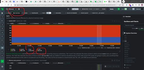 Bug Same Chart On Overview And Single Node View Has Dimensions With