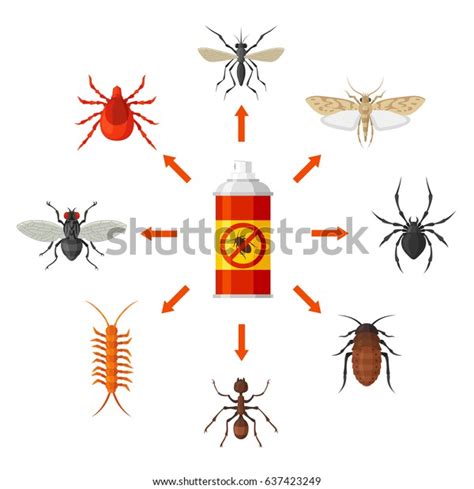 Pest Control Insecticide Vector Illustration Identification Stock