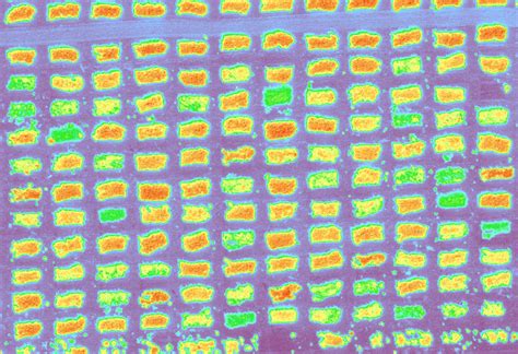 Github Alibgisrsvegetation Indices Calculator If You Need The