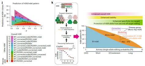 Nature Biomedical Engineering Grna Crispr Medsci Cn