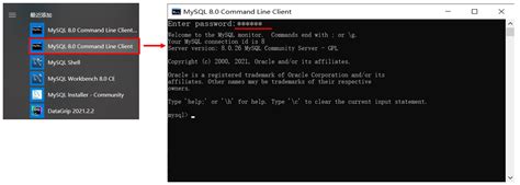 MySQL基础MySQL介绍及安装 pmysql CSDN博客