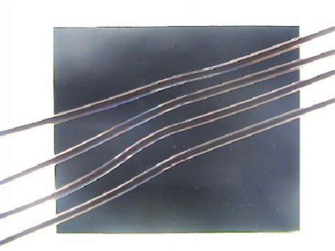 Figure 14 From Development Of Electric Wire Using Biodegradable Polymer