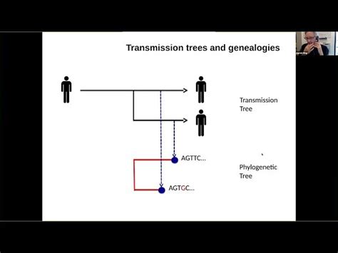 Free Video Phylodynamics And Genealogy Valued Markov Processes From Santa Fe Institute Class