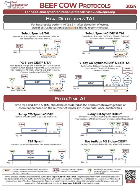 Beef Cow Synch Protocols Accelerated Genetics