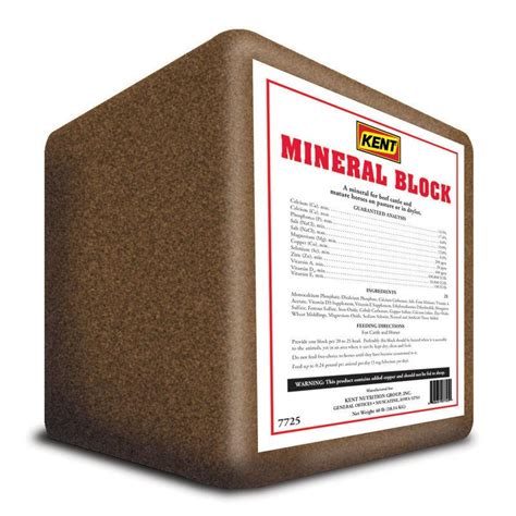 Champions Choice Selenium 90 Trace Mineral Salt Block 50lb In Montague Mi And New Era Mi