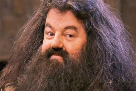 Harry Potter Star Robbie Coltrane Dead At 72