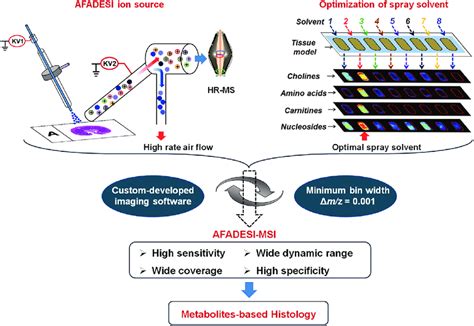 the strategy to develop a sensitive and wide coverage afadesi msi