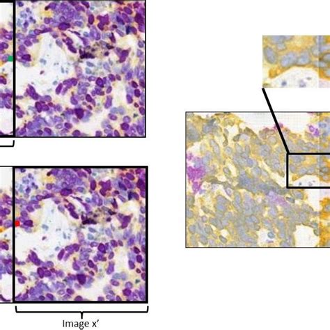 right tiling effect in adjacent output tiles left image x and x