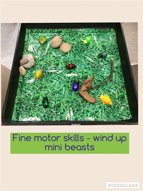 EYFS Funky Fingers Activity Mini Beasts