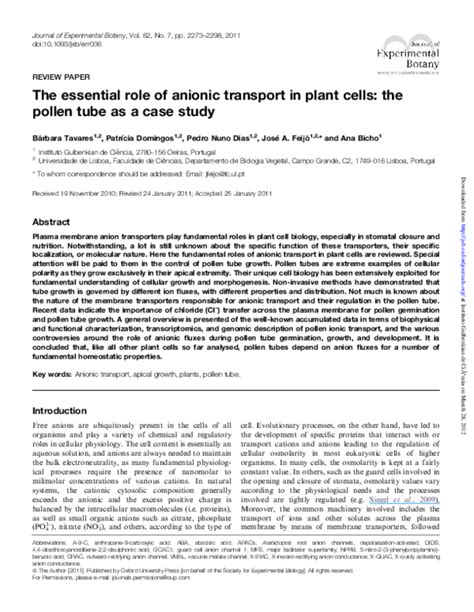 Pdf Anionic Transports Role In Pollen Tube Growth