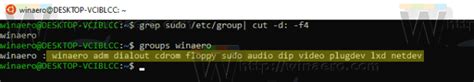 Add Or Remove Sudo Users In WSL Linux In Windows