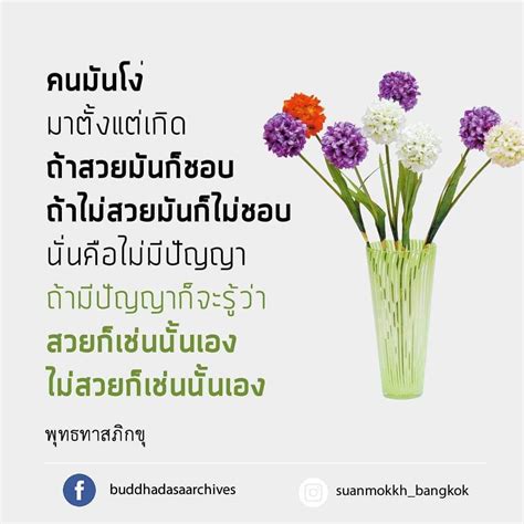 คนมันโง่มาตั้งแต่เกิด ถ้าสวยมันก็ชอบ ถ้าไม่สวยมันก็ไม่ชอบ นั่นคือไม่มี