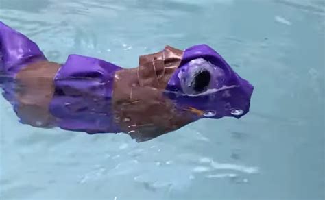 This Arduino Powered Robotic Fish Swims Like The Real Thing Arduino Blog