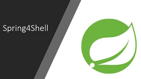 Spring Framework RCE Vulnerabilities