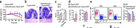 Runx3 Expression By Cd4 T Cells Inversely Correlates With Their