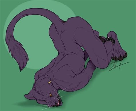 Rule 34 2014 Angry Anus Ass Up Bondage Bound Cuffs Explicital Feline