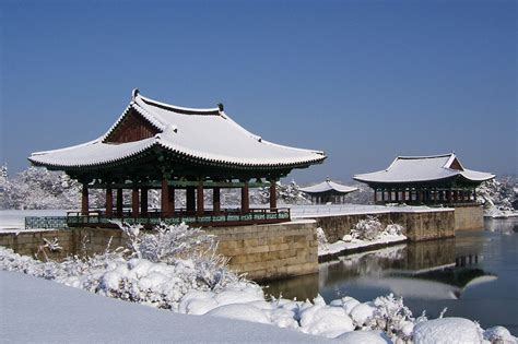 신라 왕들은 동궁과 월지에서 무얼 했을까