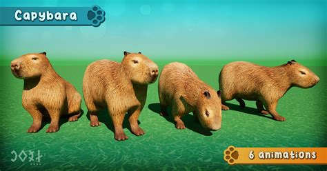 Capybara Animated Lowpoly Characters Unity Asset Store