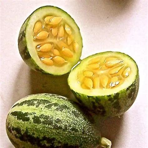 सेहत का सच्‍चा साथी है कचरीअनगिनत फायदे जानें Kachari Is A Healthy