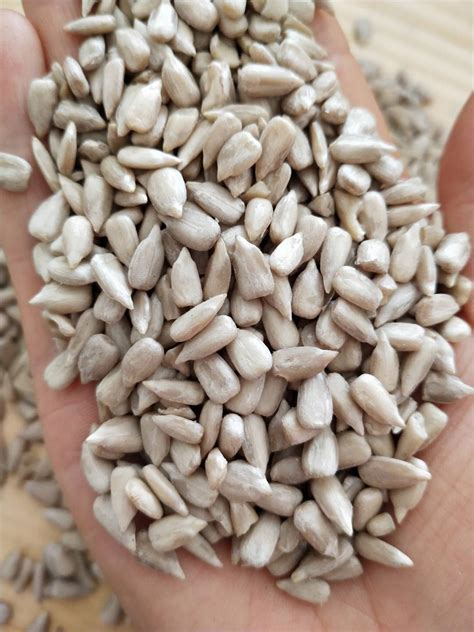 Sunflower Seeds Kernelsunflower Seeds And Kernel