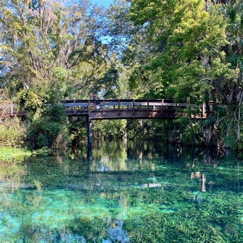 Silver Springs Kayaking And Glass Bottom Boat Tour Impulse4adventure