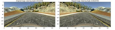 Example Of Flip Augmentation Download Scientific Diagram