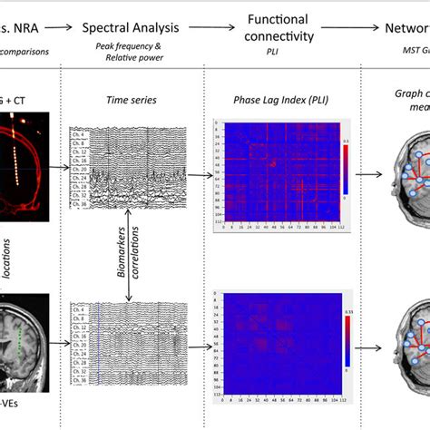 Overview Of Analysis Pipeline Download Scientific Diagram