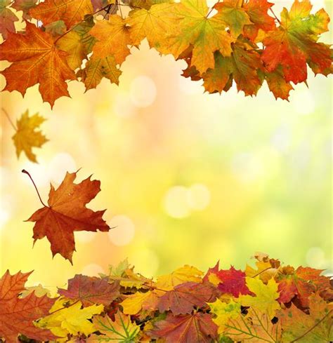 برگهای پاییزی