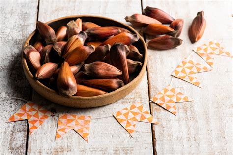 Como Cozinhar Pinhão De Forma Rápida E Fácil