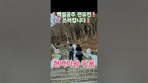 쓰러집니다 전유진 현역가왕갈라쇼 최고 Youtube