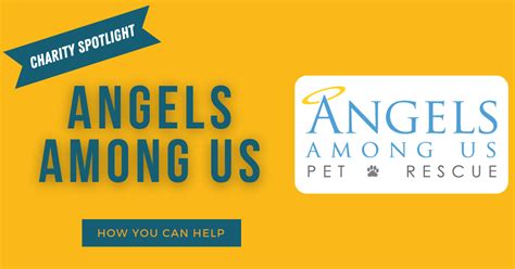 Be A Part Of Angels Among Us The Charity That Rescued Over 20 000