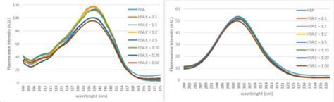 Synchronous Fluorescence Spectra Of 5 25×10 7 М Hsa And Its Mixtures