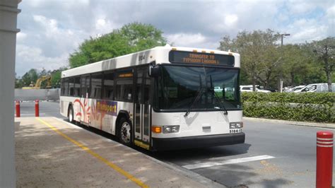 Disney Transport Gillig Low Floor By Floridatraveller On Deviantart