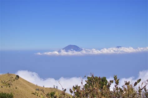 «merbabu 1080p 2k 4k Full Hd Wallpapers Backgrounds Free Download