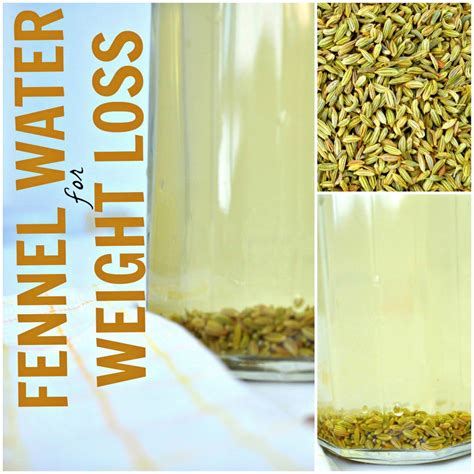 Drinking Fennel Seed Water For Weight Loss Caloriebee