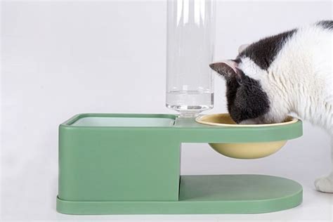 강아지 리빙 올인원 반자동 애견 강아지 고양이 급식기 오늘의집 쇼핑