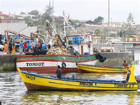 Estudio Revela Cómo El Cambio Climático Pone En Riesgo La Pesca