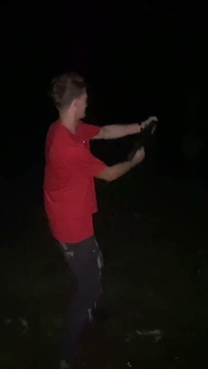 Quick Burst From The Binary Arp Binary Arp Youtube