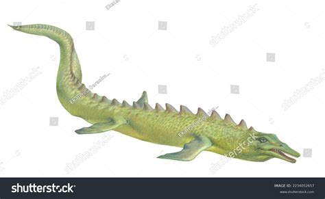Realistic Color Scientific Illustration Mosasaurus On Stock