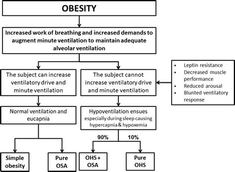 An Algorithm Demonstrating The Possible Relationship Between Obesity