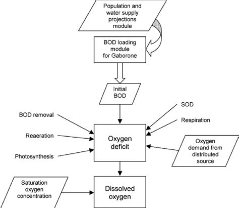 Conceptual Representation Of Dissolved Oxygen Model Components