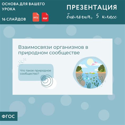 Презентация Взаимосвязи организмов в природном сообществе урок