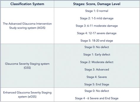 Glaucoma 101 Symptoms Causes Stages And Treatment Homage Malaysia
